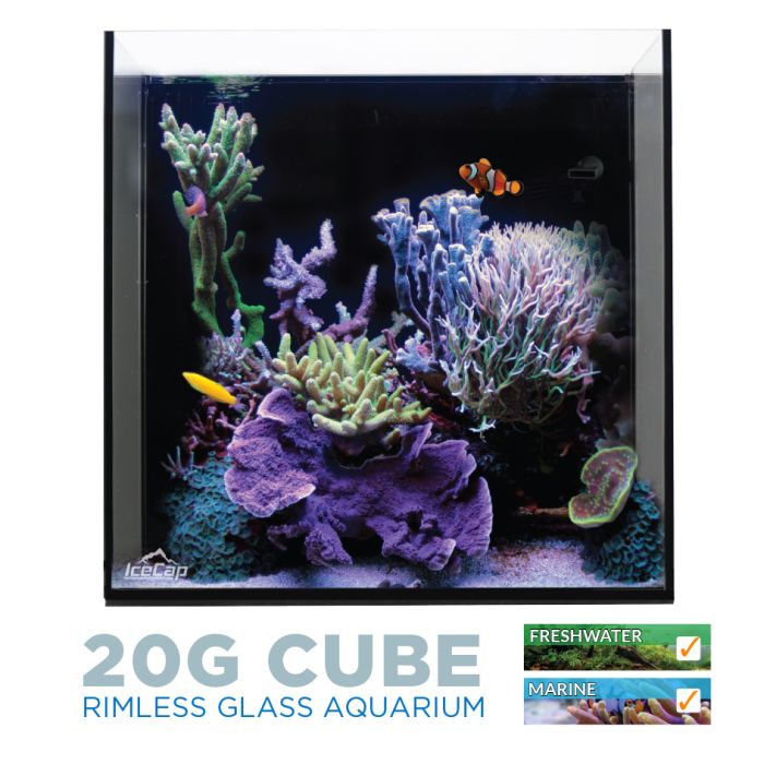IceCap 20 Gallon Cube AIO Rimless Glass Aquarium | CoralVue