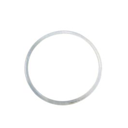 O-Ring for Reef Octopus BR70 BioPellet Reactor | CoralVue